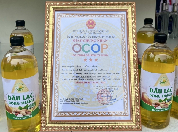 Sản phẩm dầu lạc Đông Thành đạt chất lượng OCOP 3 sao